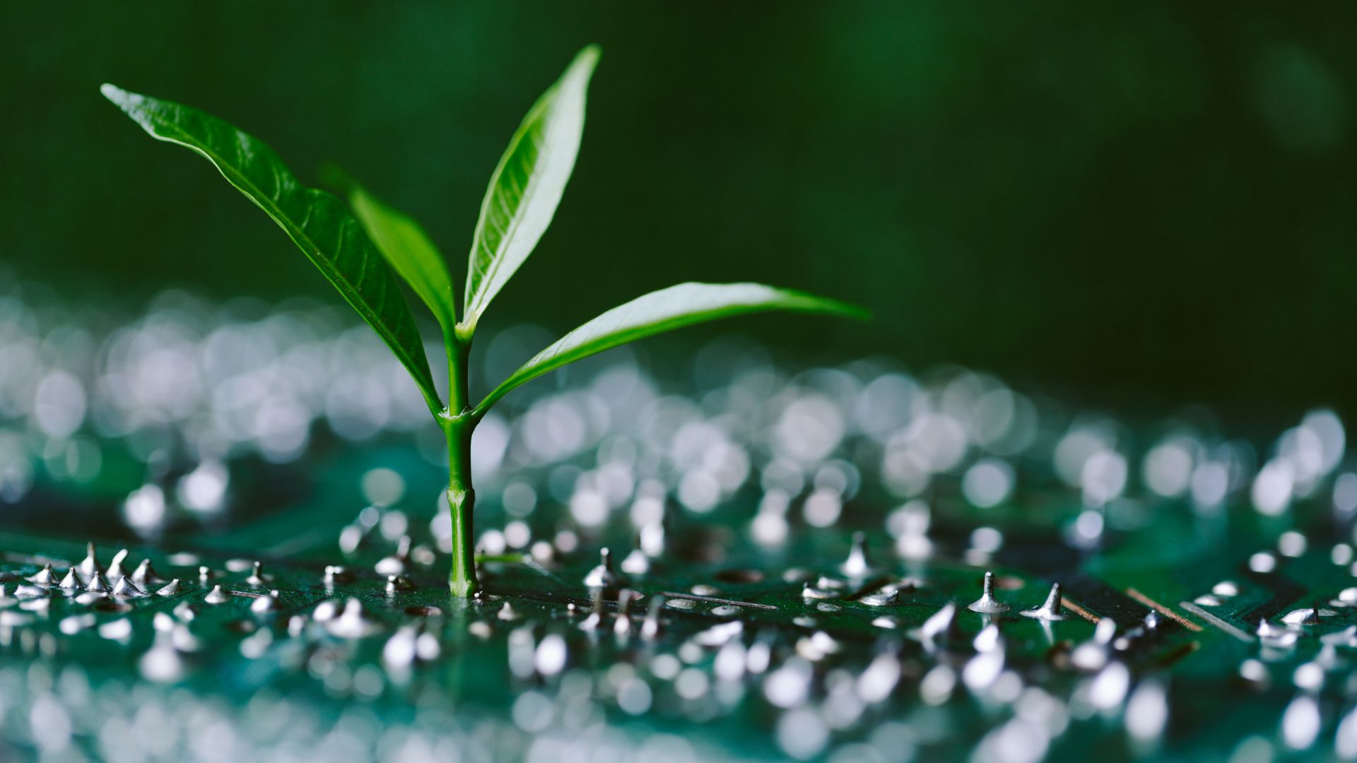 Konsep Green Data Center Atau GDC Dan Kaitannya Dengan SNI 8799 ...